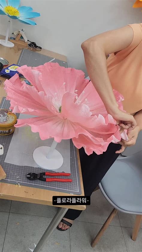 플로라플라워 본원 자이언트플라워 포토존 플랜테리어 초대형리본 매장디스플레이 Floraflowerofficial • Instagram