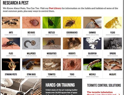 Pest Control Termites Orkin At Dorathy Quinones Blog