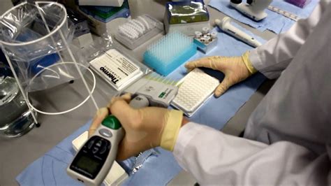 Durchführung Eines Picogreen Assays Youtube