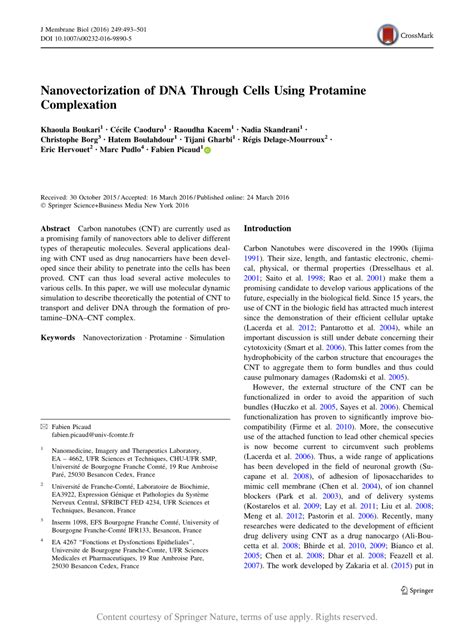Nanovectorization Of Dna Through Cells Using Protamine Complexation