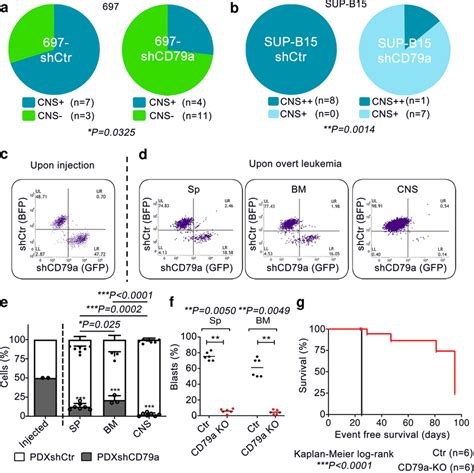 Cd79a Is Required For Leukemia Engraftment And Cns Involvement In