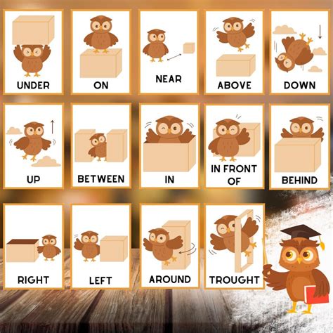Preposition Owl Flashcards Montessori Printable Activity Positional