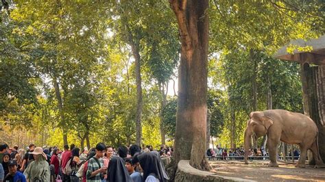 4 Tempat Wisata Murah Di Jakarta Untuk Libur Lebaran 2025 Tribun Travel