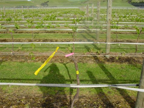 assignment2 2 object detection dataset and pre trained model by assignment2