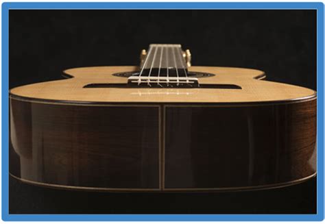 Bilder Gitarrens Delar Och Namn På Svenska Och Engelska