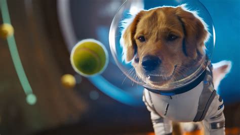 Can We Really Tell Whats Made By Sora 2 11 Tips To Help Spot Ai