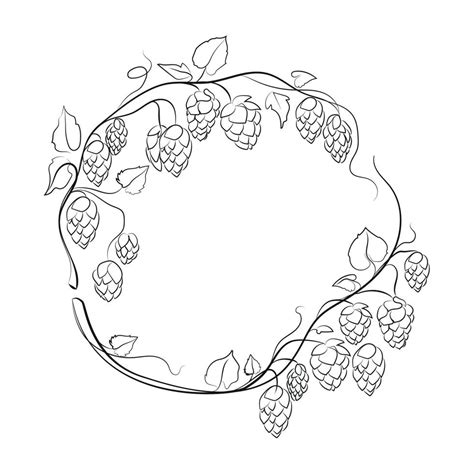 Hops Drawing