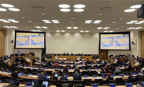 Viet Nam Committed To Combat Illegal Trade Of Small Arms Light Weapons