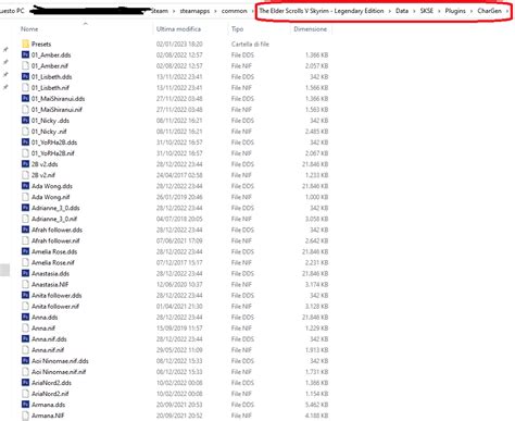 Racemenu Presets Not Available Skyrim Technical Support Loverslab