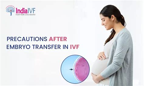 Precautions After Embryo Transfer In Ivf India Ivf Clinic