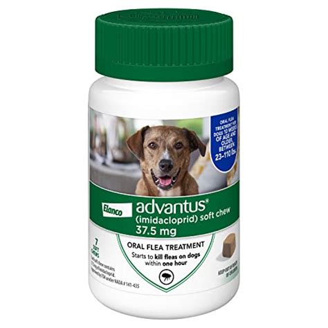 Best Flea Pills For Dogs In 2022 Top 7 Most Effective Oral Flea Treatments