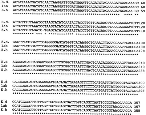 Clustal W 1⋅82 Multiple Sequence Alignment Of A Part Of 18s Region