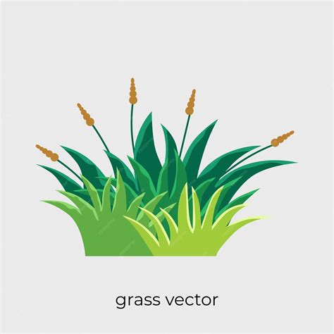 Premium Vector Grass Vector In Flat Style Single Illustration With