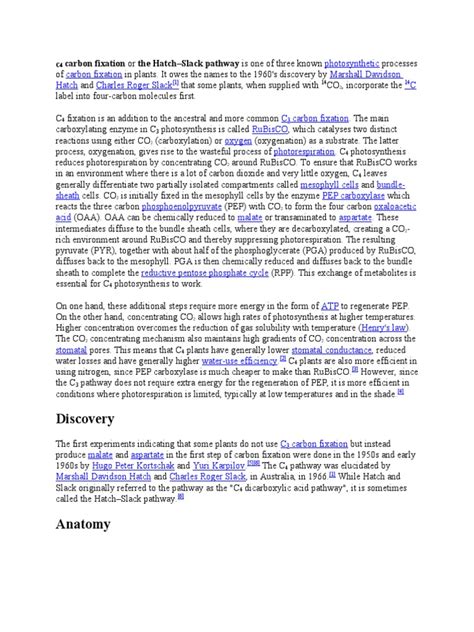 C4 Pathway Pdf Photosynthesis Biology