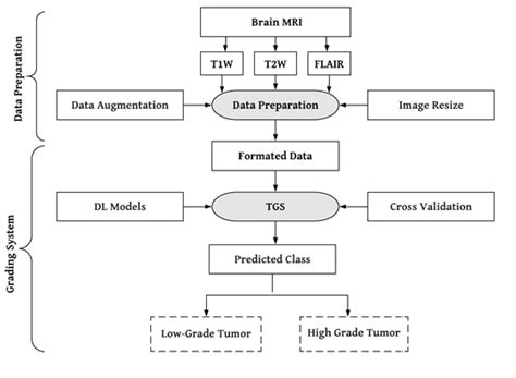 A Global Picture Of Brain Tumor Grading System T1w T1 Weighted T2w