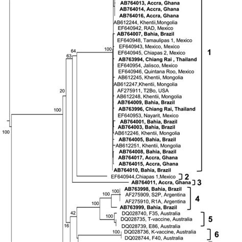 Phylogenetic Analysis Of Msa 1 Gene Sequences The Msa 1 Gene Sequences Download Scientific