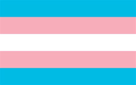 Premium Vector Transgender Pride Flag Sexual Identity Pride Flag