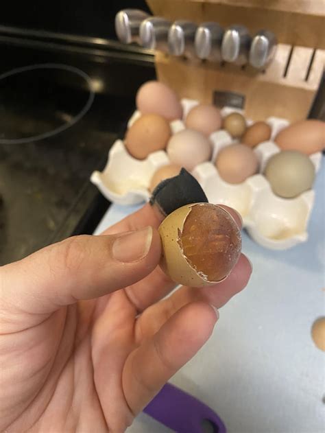 Dried Out Egg Opened Rweirdeggs