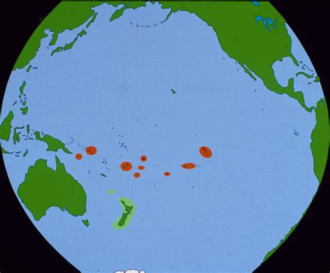 Remote Islands Mistletoes