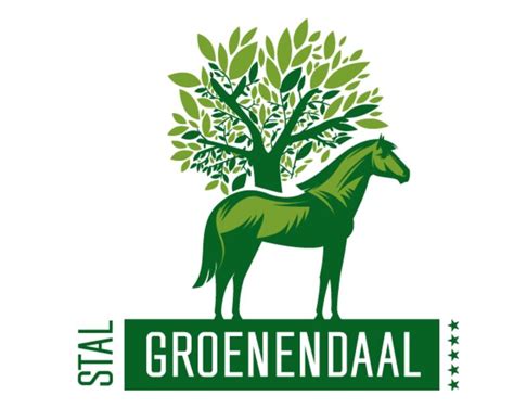 Live Stream Kerstconcours Srjv Groenendaal Selectie Jumping