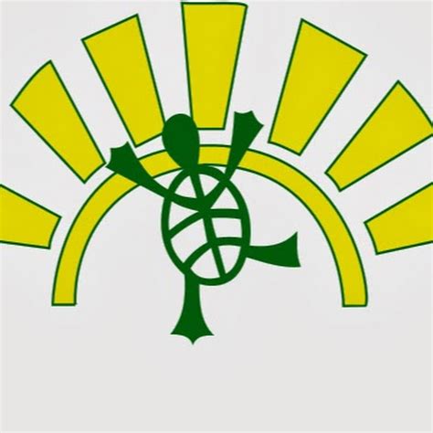 Happy Dancing Turtle Youtube