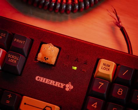 Cherry G80 Budget R Budgetkeebs