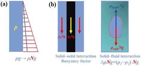 Effects Of Hypergravity On Phase Evolution Synthesis Structures And