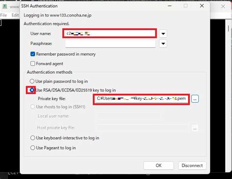 【python】conoha wingのサーバーでpythonプログラムを実行する カメ助のブログ