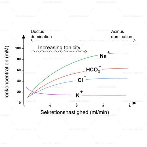 Ion Concentration Vs Secretion Rate Chart Diagram