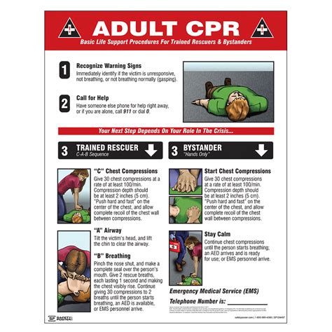 Safety Poster Adult Cpr Basic Life Support Procedures Cs881254
