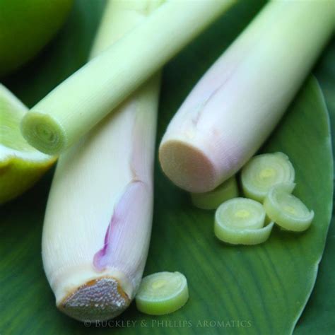 Lemongrass Essential Oil Cymbopogon Flexuosus