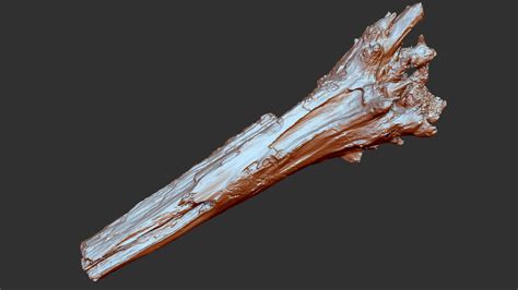 3d 3d Tree Trunk Zbrush Sculpt Turbosquid 2128964