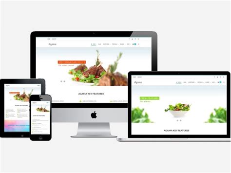Theme Vision Premium Wordpress Themes And Plugins