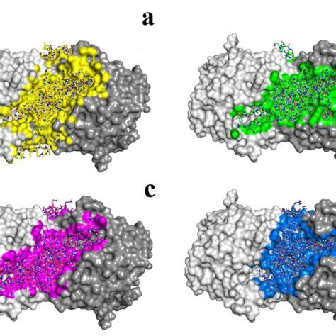 A Lstm Model B Transformer Model And C Amptrans Lstm Architecture Download Scientific