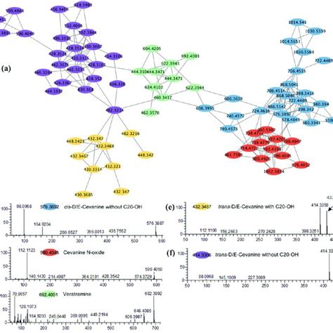 Molecular Networking Of Steroidal Alkaloids A The Typical Ms Ms Download Scientific Diagram