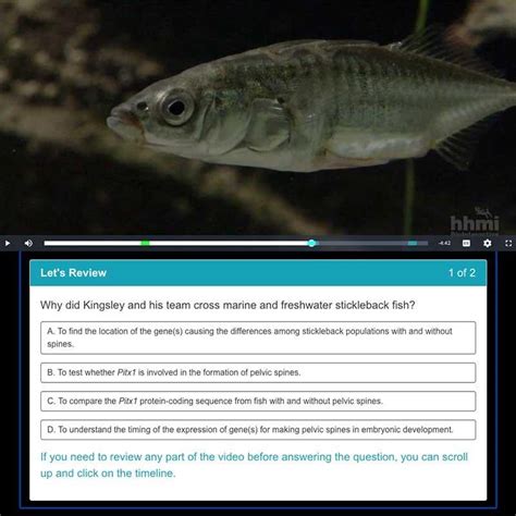 Stickleback Evolution Virtual Lab