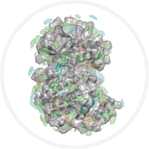 Silcs Silcsbio Computer Aided Drug Design