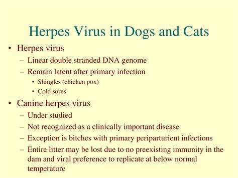 Ppt Infectious Disease Powerpoint Presentation Free Download Id