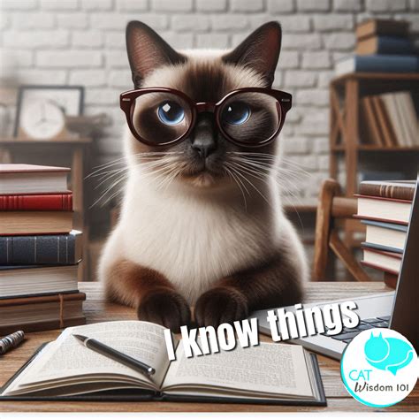 Meezers And Myths The Magic Of Siamese Cats Cat Wisdom 101