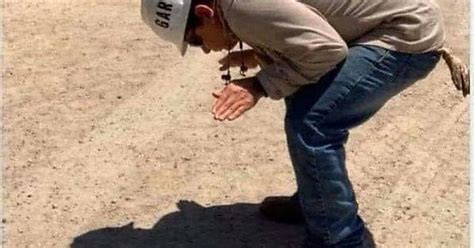 Turtle Shadow Album On Imgur