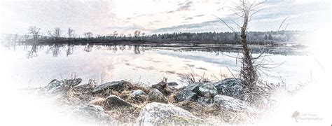 Stephen Hughes Photography Mr And Mrs Hanratty August 2019 Facebook