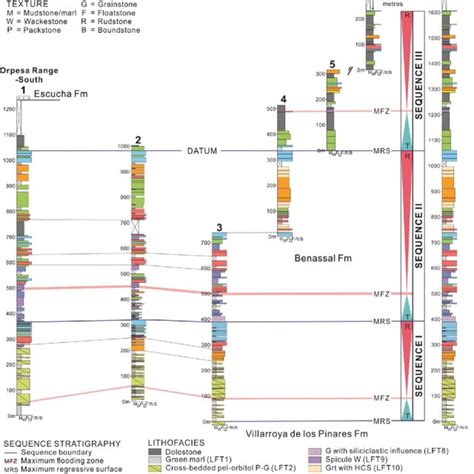 Different Forms Of Carbonate Platforms Within A Shallow Marine