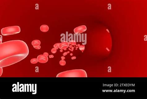 Oval Objects Stock Videos And Footage Hd And 4k Video Clips Alamy