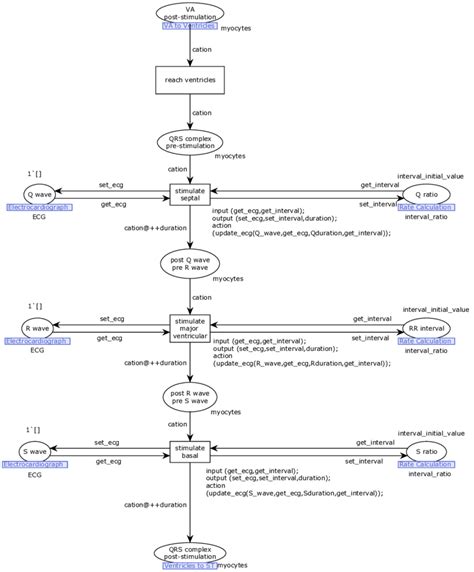 The Ventricular Depolarization Submodel Download Scientific Diagram