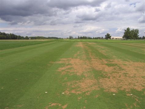 Turfgrass Disease Profiles Pythium Blight Golf Trades