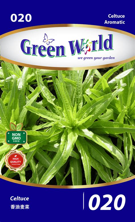 Gw020 Aromatic Celtuce Leckat Seeds
