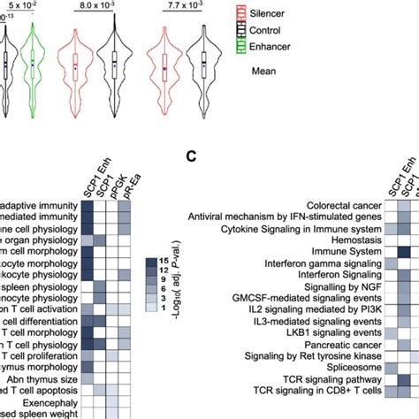 Gene Expression And Go Term Analysis A Violin Plot Comparing The