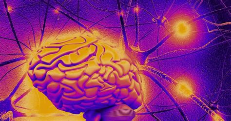 What Is A Tolerance Break Or T Break Beard Bros Pharms