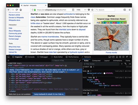 [100 ] firefox png images