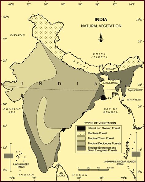 Natural Vegetation In India Ncert Notes Upsc Prepladder